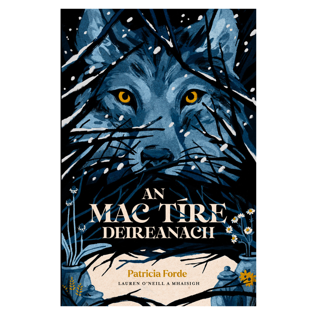Irish reading challenge: An Mac Tíre Deireanach (join me) - Speaking ...